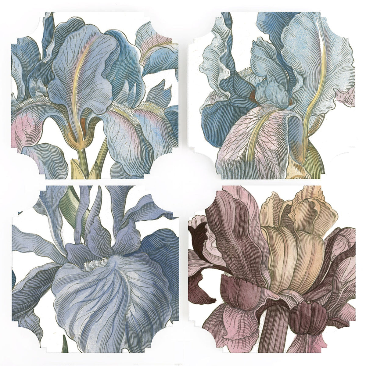 Style Your Home with the Iris Collection: Artful Coasters, Trays, and ...